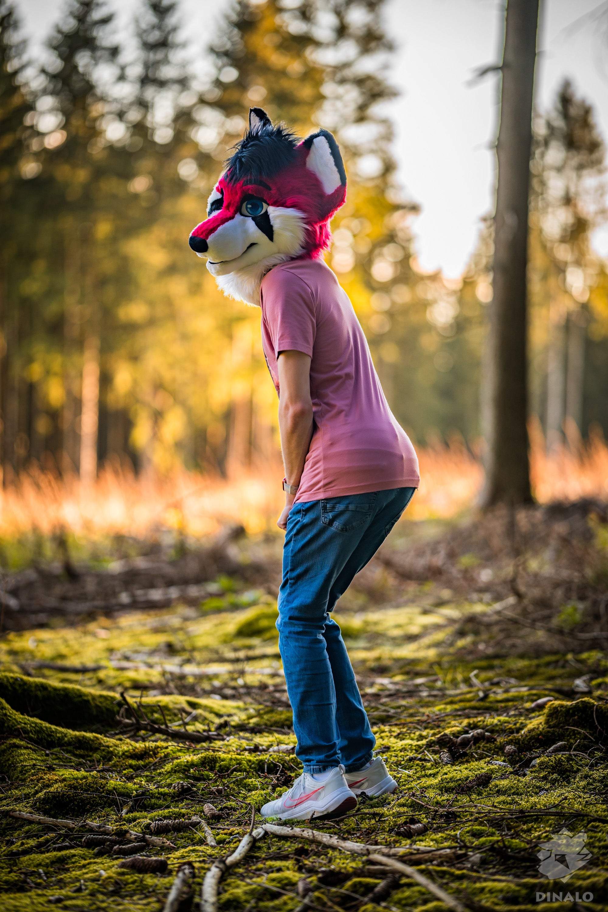 Products – The Fox Nest
